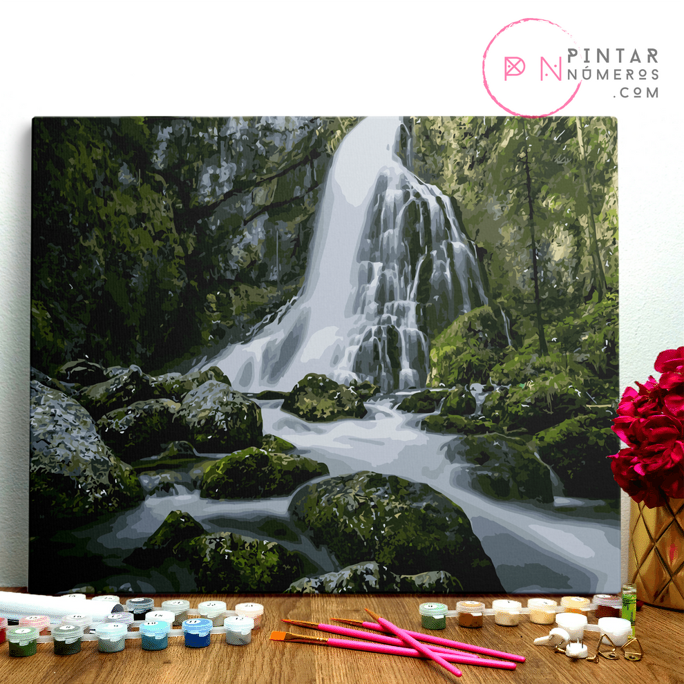 Pintar Números | Kits para pintar Cuadros por Números – Pintar Números®