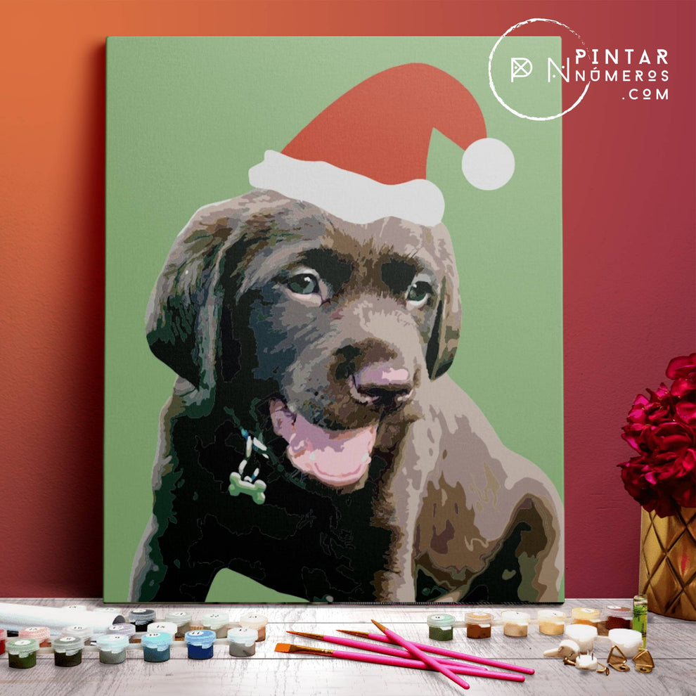 KITS PERSONALIZADOS – Pintar Números®